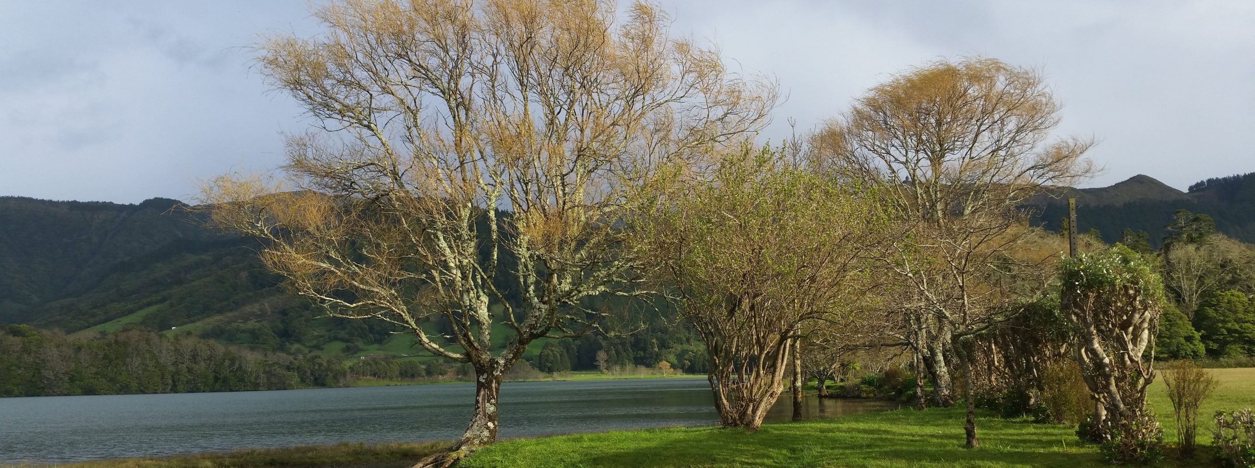 How We Show Up Matters: Why Inner Transformation Is Essential For ...