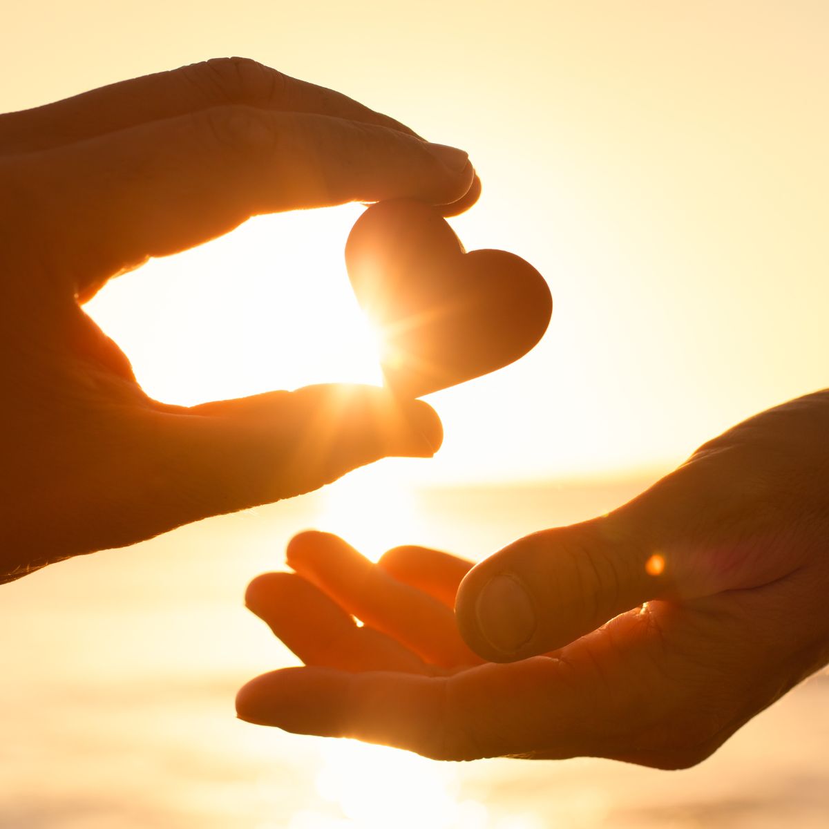 Giving Tuesday | Compassion Institute